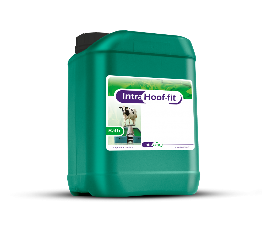 Intra Hoof-fit Bath dairy / cows