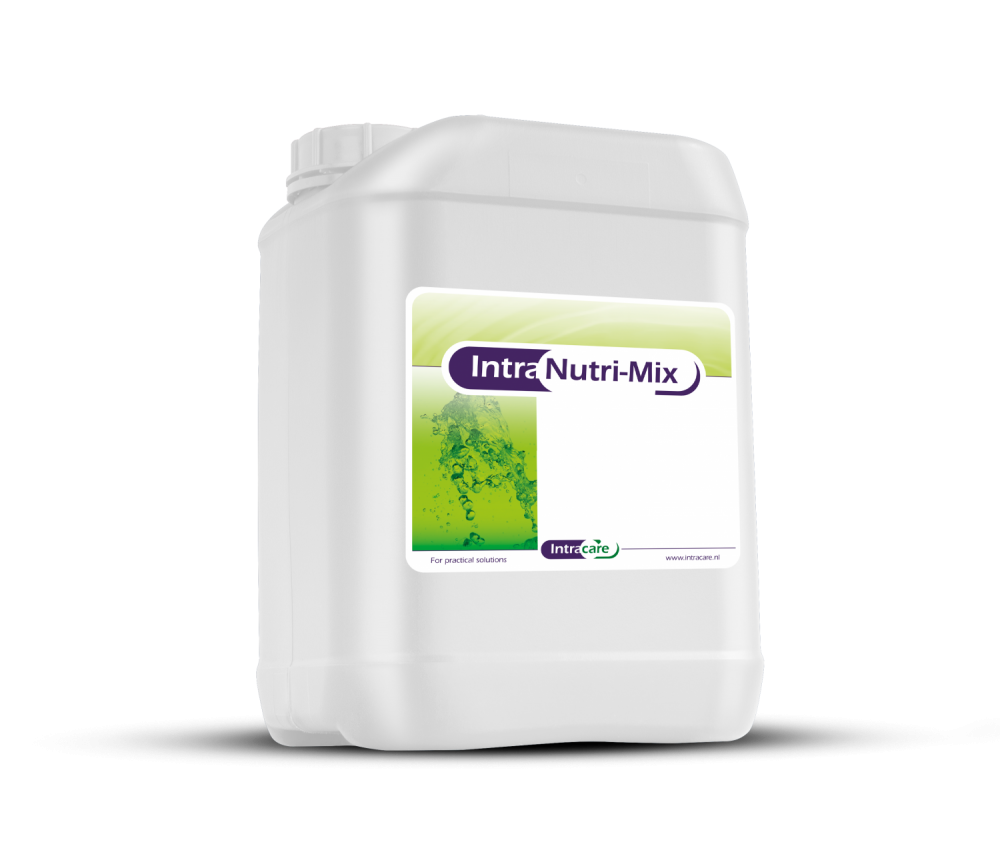 Intracare - optimal feed support with Intra Nutri-mix for poultry ...