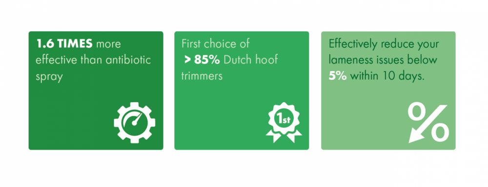 Intracare - optimal hoof care with Intra Hoof-fit Pharma gel for dairy ...